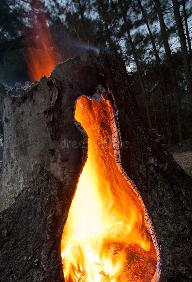 Rising Flames stock image. Image of campfire, fireplace - 3056243
