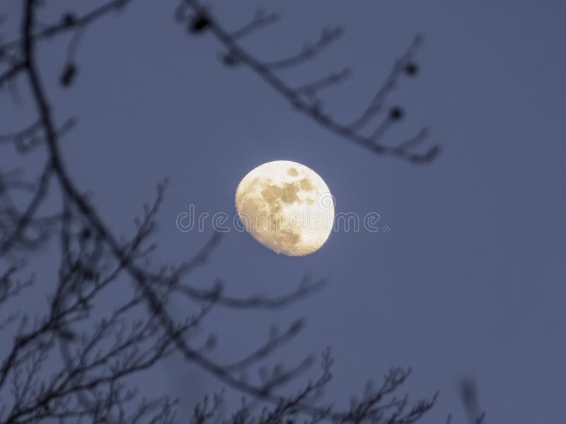 Rising full moon stock photo. Image of panorama, magic - 73075134