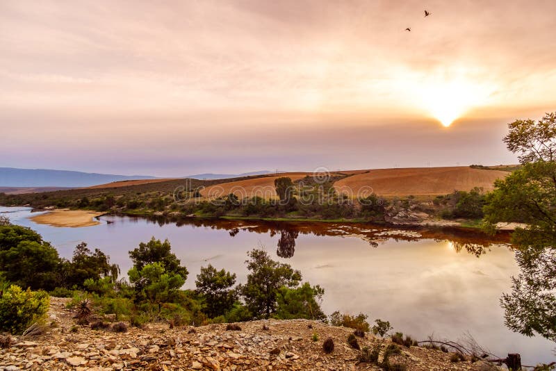 199 Phoenix Rising Stock Photos - Free & Royalty-Free Stock Photos from ...