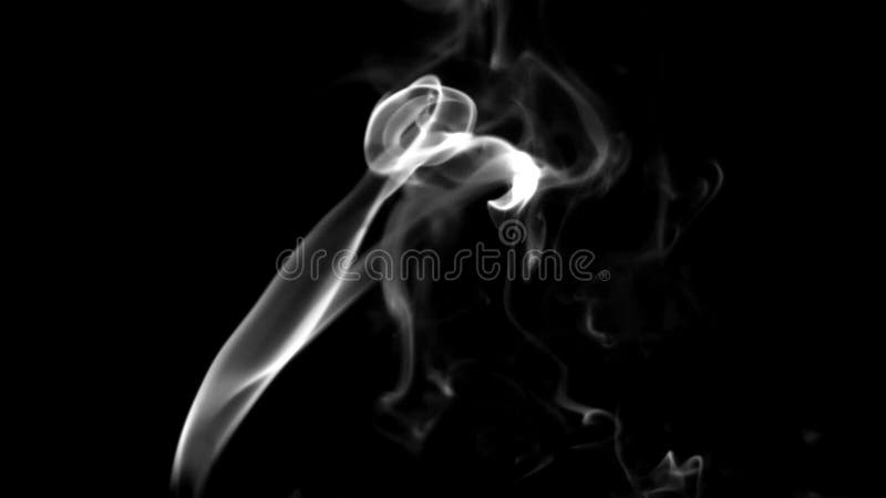 Rising White Smoke Motion Graphics with Green Screen Background Stock ...