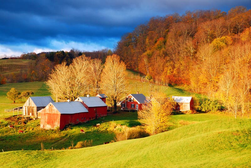 Daybreak on the Farm editorial photography. Image of fell - 113021172