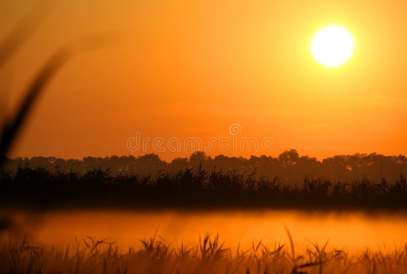 Rising Sun in the Early Morning Stock Image - Image of beauty, wood ...