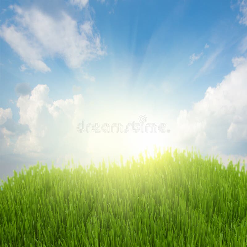 Rising Sun and Green Grass Under Blue Sky Stock Photo - Image of ...