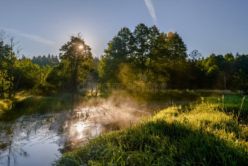 The Rising Sun Over the Forest and the River Stock Image - Image of ...
