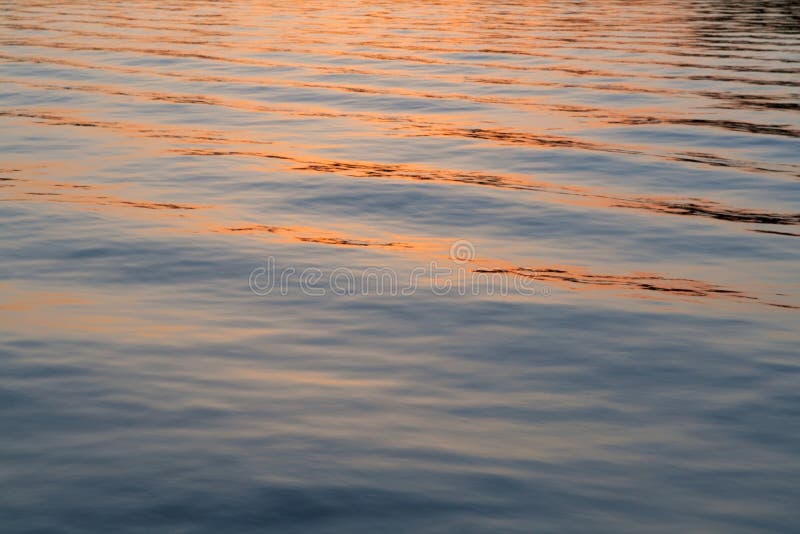 Rising Sun Reflects in the Water in Kinderdijk Stock Image - Image of ...