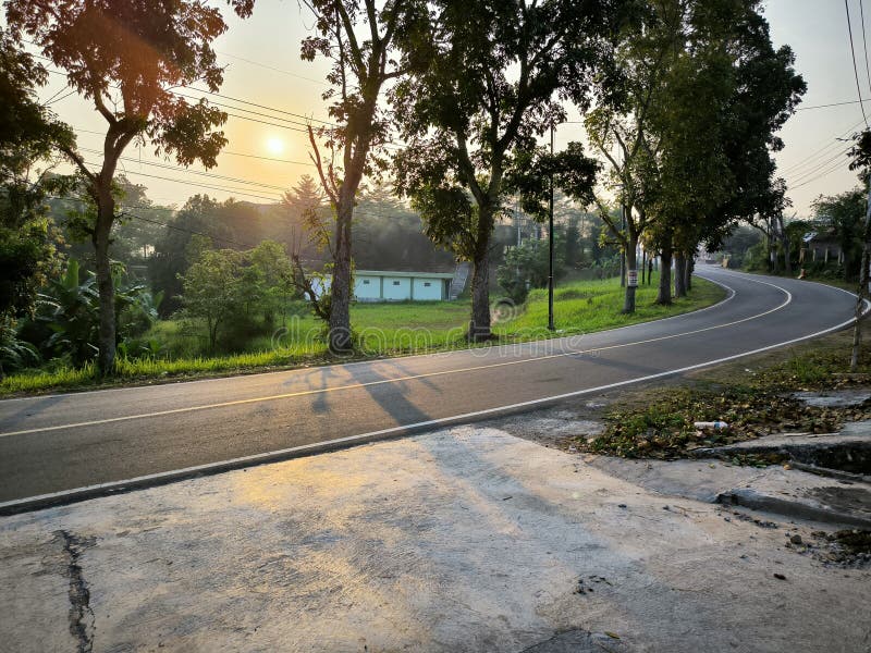 The Rising Sun Shines through the Trees and Creates Bars on the Road ...