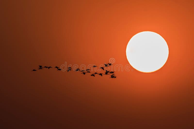 Rising with the Sun stock illustration. Illustration of rising - 132652769