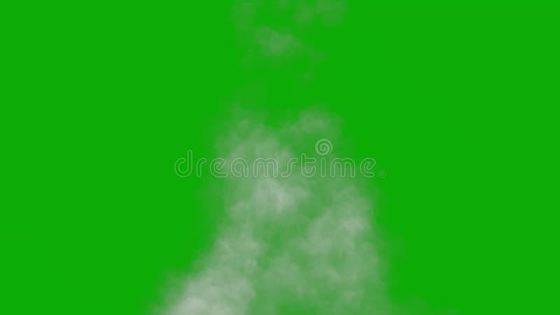 Rising White Smoke Motion Graphics with Green Screen Background Stock ...