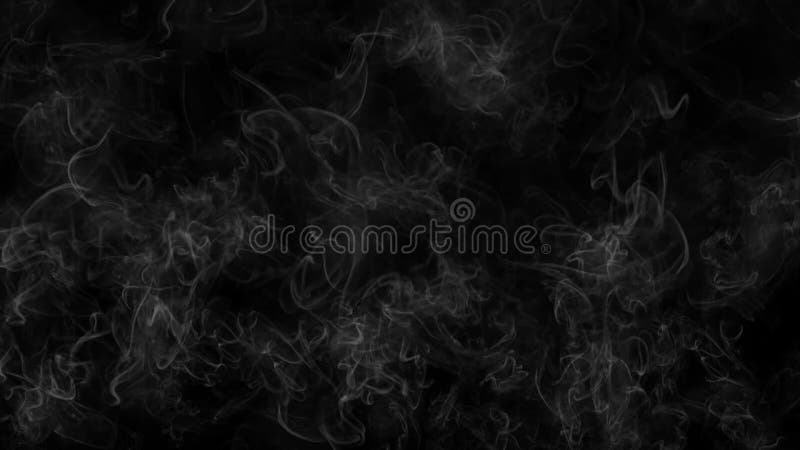 Rising White Smoke Motion Graphics with Plain Black Background Stock ...