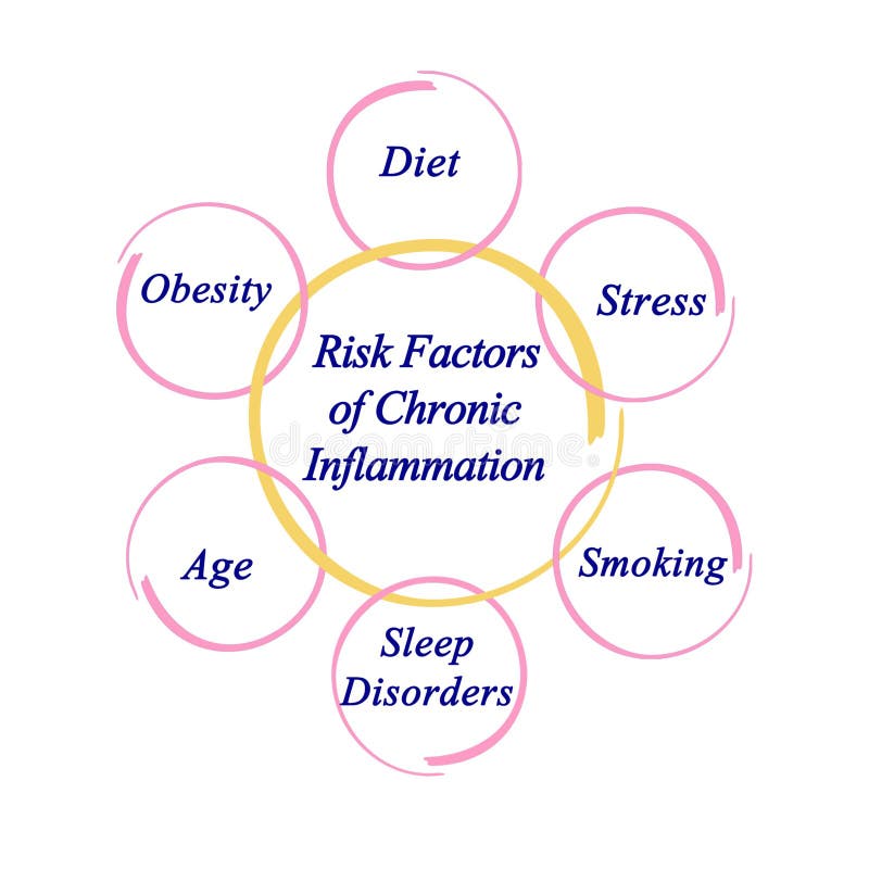 Risk Factors of Chronic Inflammation Stock Illustration - Illustration ...