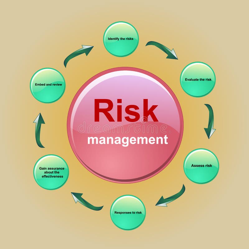 Risk Management Diagram With 5 Step Solution Stock Vector ...