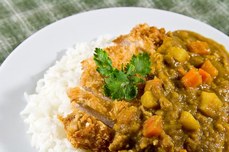 Riso di curry giapponese fotografia stock. Immagine di pranzo - 20106936