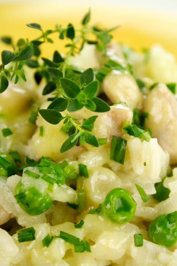 Risotto stock image. Image of garnish, rice, healthy - 15542715