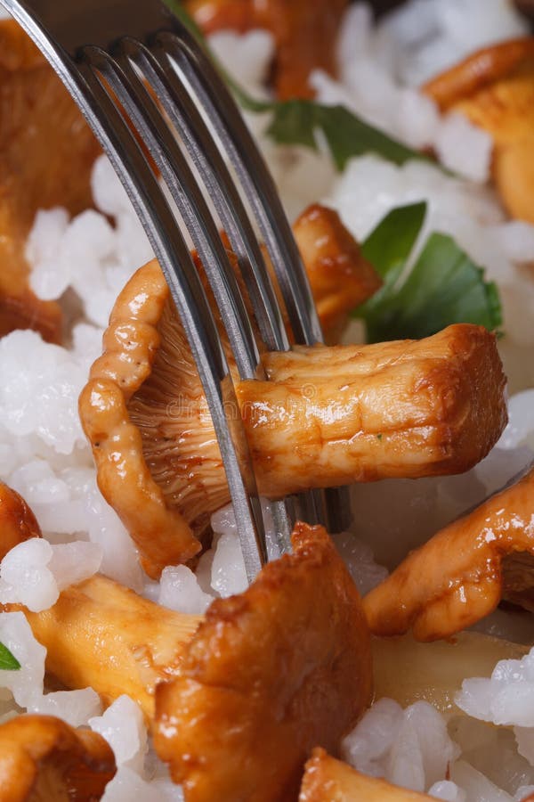 Risotto with Chanterelles and Fork Close Up Vertical Stock Image ...