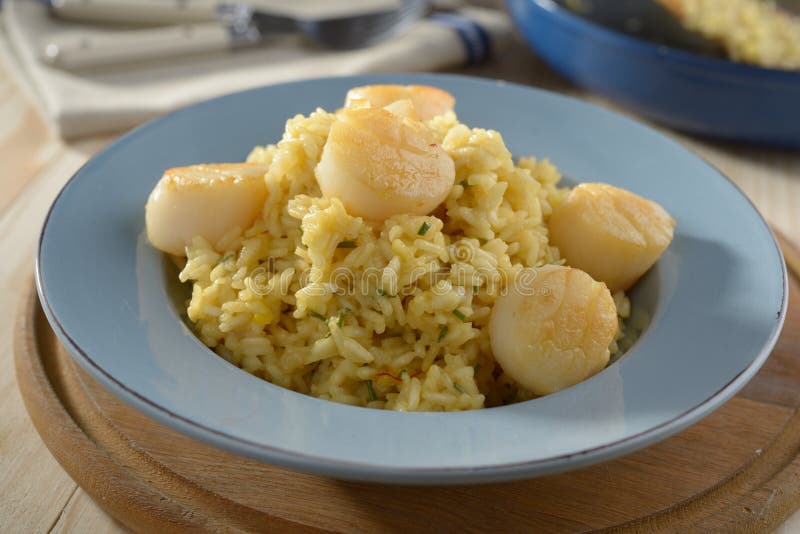 Risotto with scallops stock image. Image of scallops - 35147273