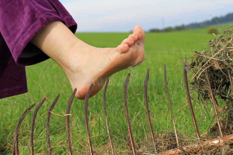 Risque De Blessure Lors De Travaux Agricoles Image stock - Image du ...