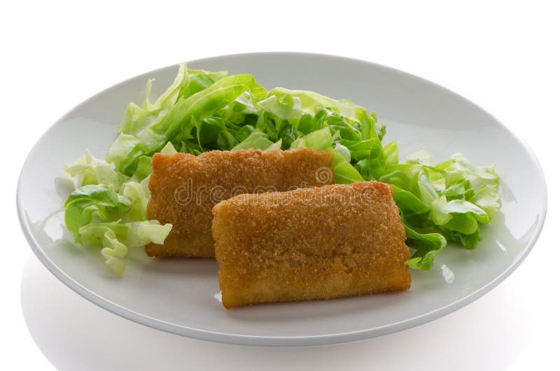 Rissole stock photo. Image of croquette, coxinha, party - 27020284