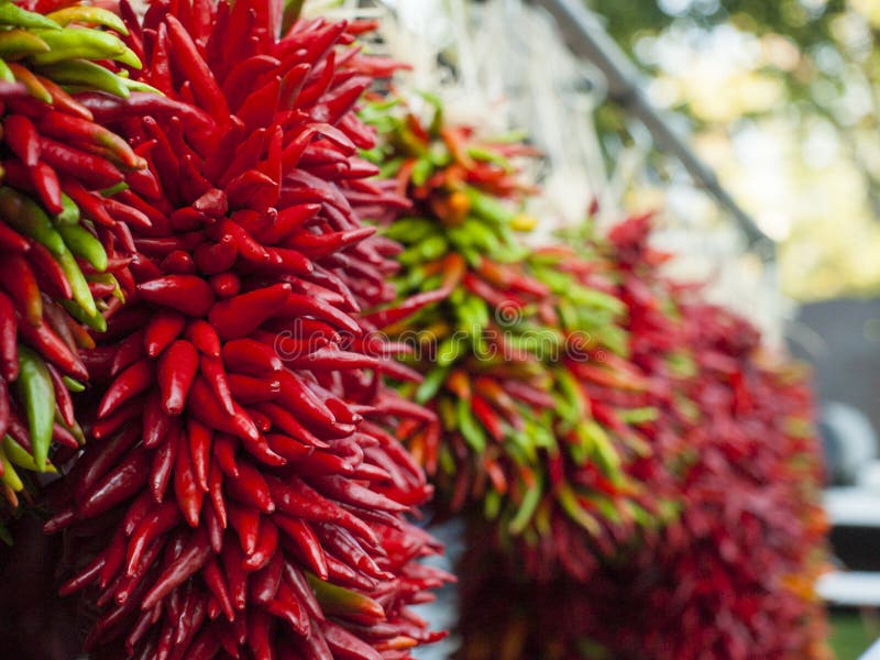 Ristra stock image. Image of agriculture, pepper, edible - 26646051