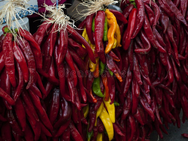 Ristra stock image. Image of chile, healthy, eating, colors - 26646085