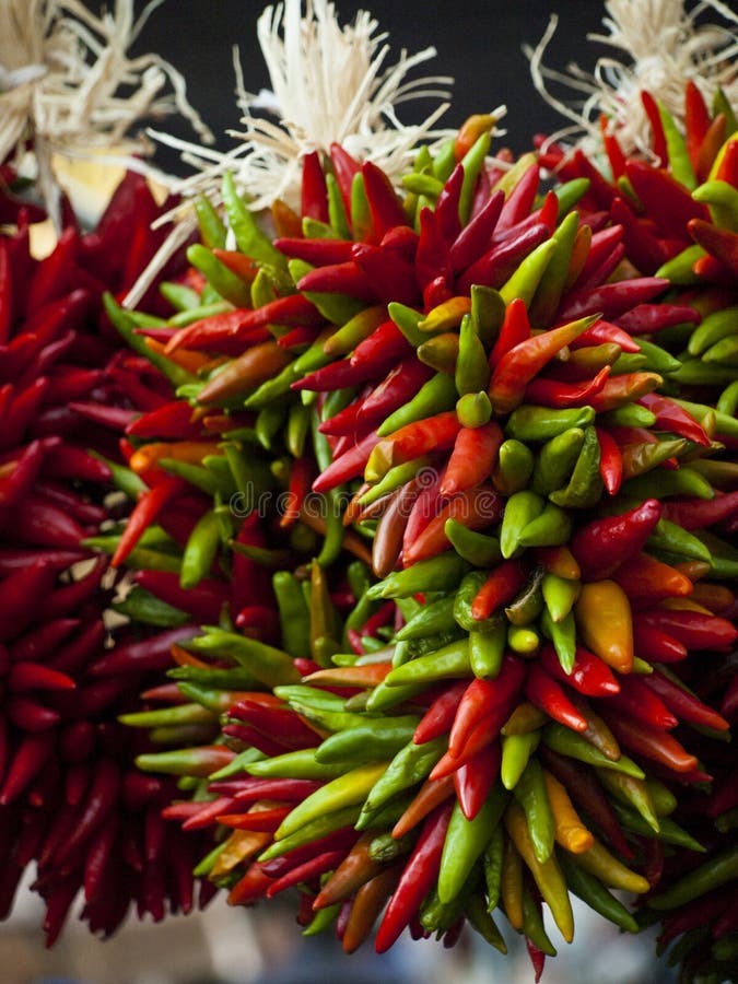 Ristra stock image. Image of chili, culture, southwest - 26646107