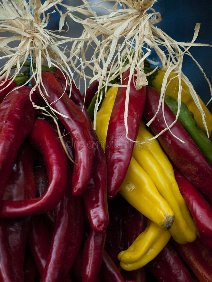 Ristra stock image. Image of healthy, colors, ranch, dried - 26646137