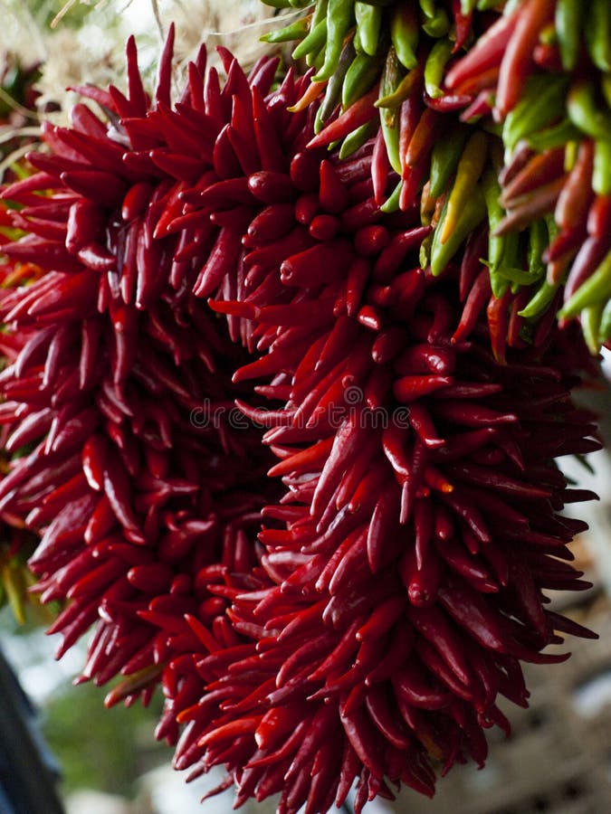 Ristra stock image. Image of ristra, colors, food, healthy - 26646181