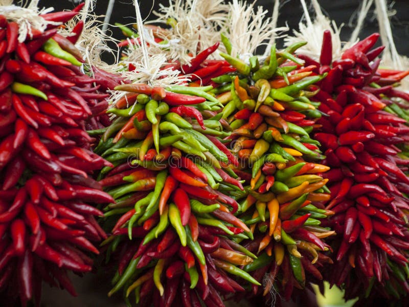 Ristra stock photo. Image of culture, colors, organic - 26646378