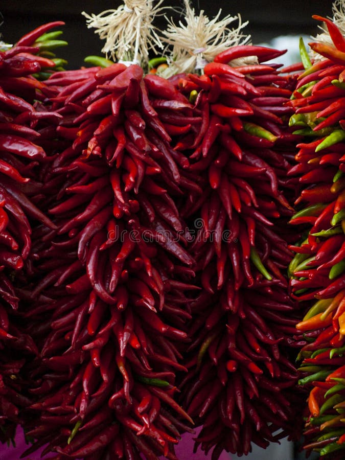 Red chile ristras stock photo. Image of design, decoration - 11301758