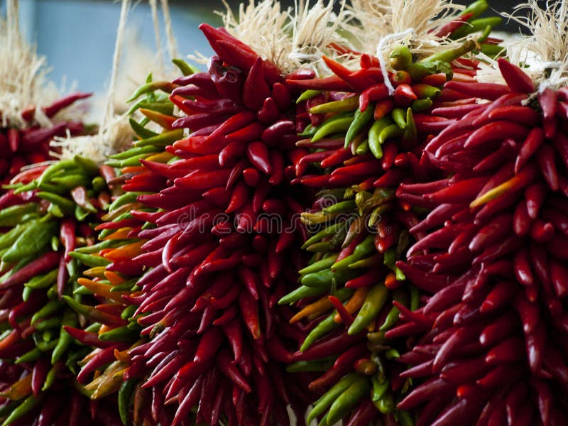 Ristra stock image. Image of piperaceae, farmers, fresh - 26646427