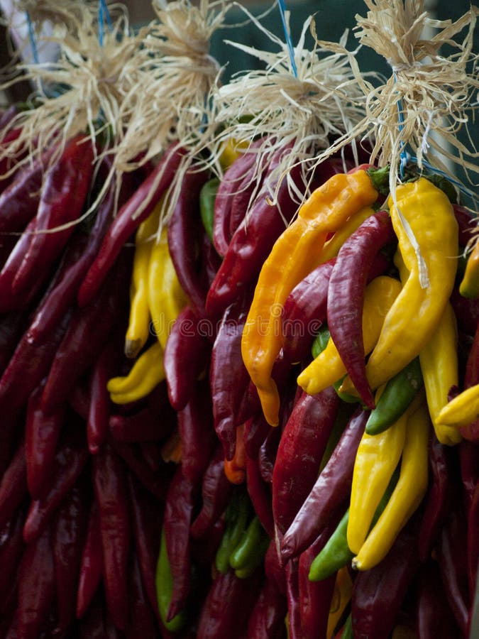 Ristra stock image. Image of culture, piper, organic - 26646435