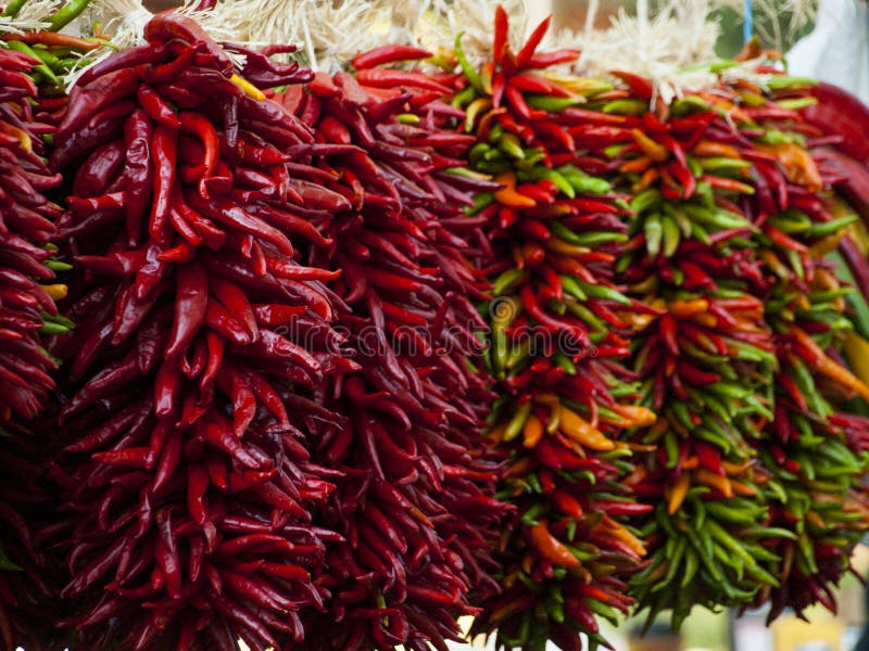 Ristra stock image. Image of organic, hanging, nutrition - 26646901