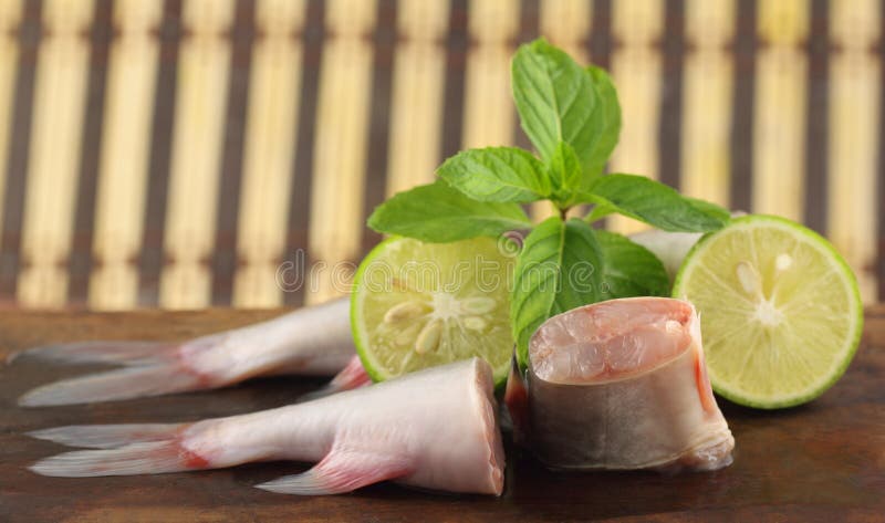 Rita fisk fotografering för bildbyråer. Bild av sydost - 34357619