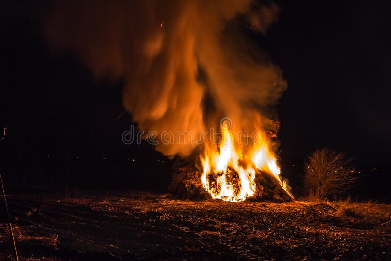 Ritual Bonfire in the Forest. Evening Beautiful Bonfire of Burning Pine ...
