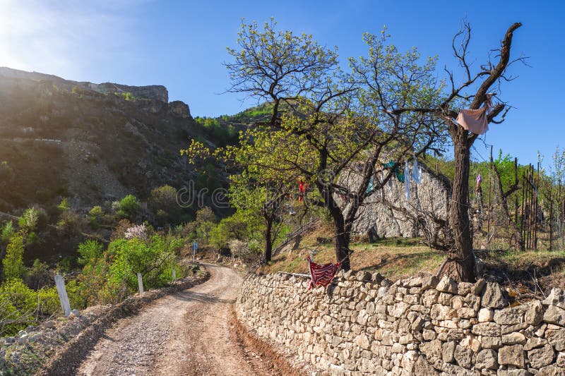Ritual Rags on the Ritual Tree Stock Photo - Image of amulet, exotic ...