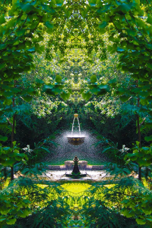 Ritual stock photo. Image of forest, outside, halloween - 45451468