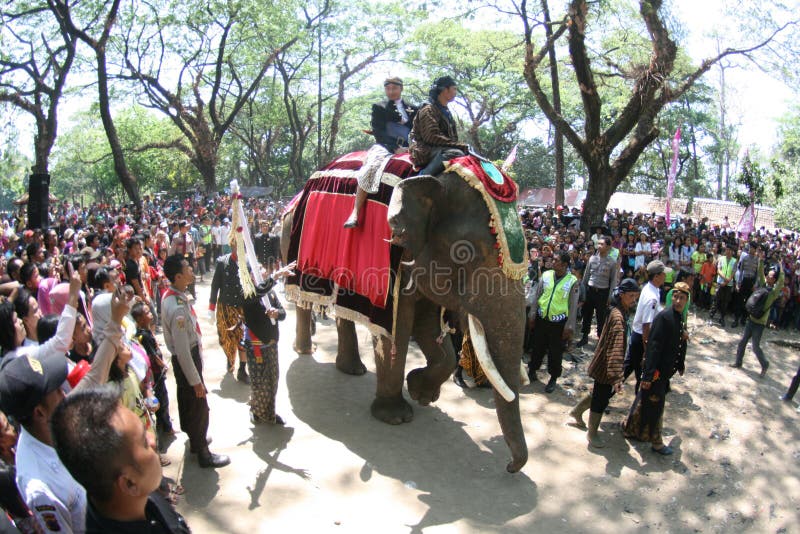 Rituel syawal de Grebeg photo stock éditorial. Image du asie - 31689473