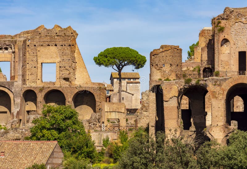 Riuns of Ancient Circus Maximus in Rome, Italy Stock Image - Image of ...