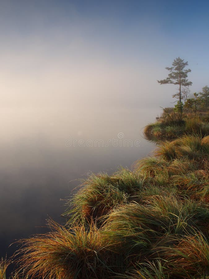 Palude fotografia stock. Immagine di conservazione, nube - 6210250