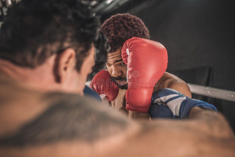 Kickboxers fighting stock photo. Image of arts, artist - 23189866