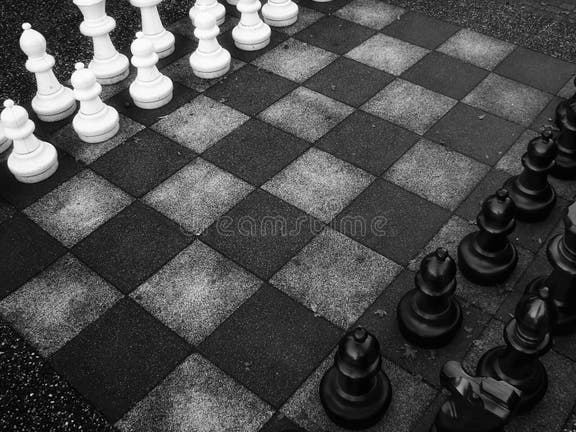 Rivals stock image. Image of outside, player, chess, external - 436415