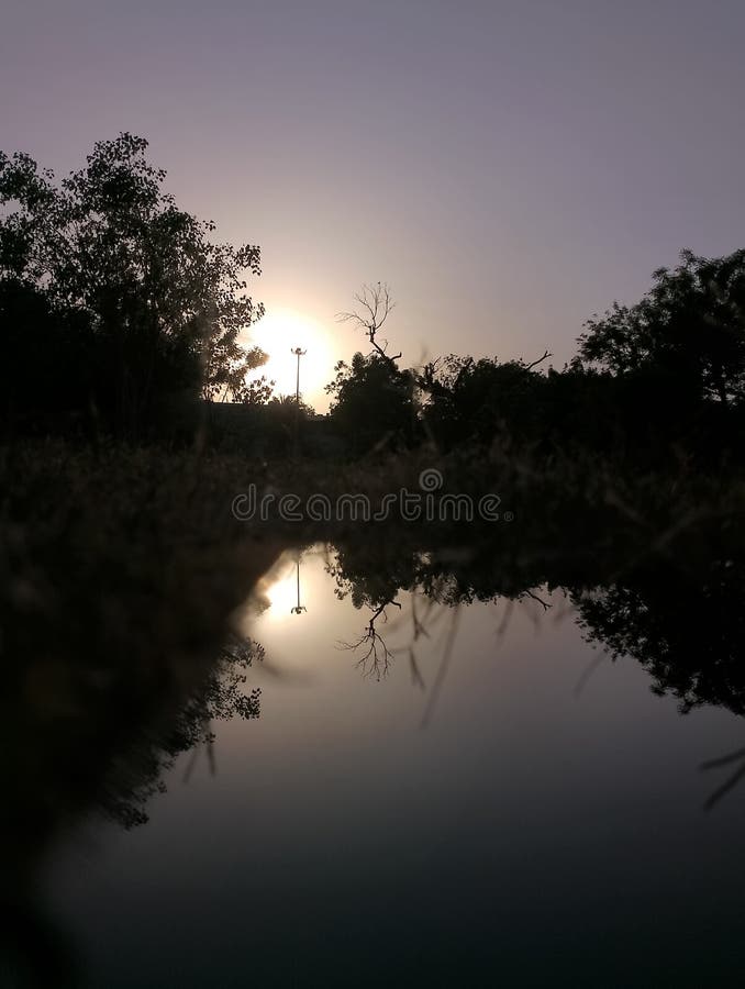 Rivear sun set stock image. Image of three, plant, rivar - 250058331
