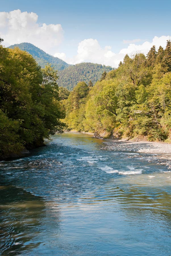 Rive stock photo. Image of trees, valley, stream, mountain - 32505162