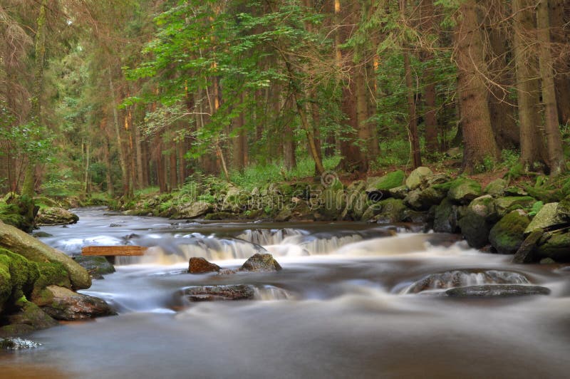 River Plym , Plym Valley , Dartmoor Stock Image - Image of dartmoor ...