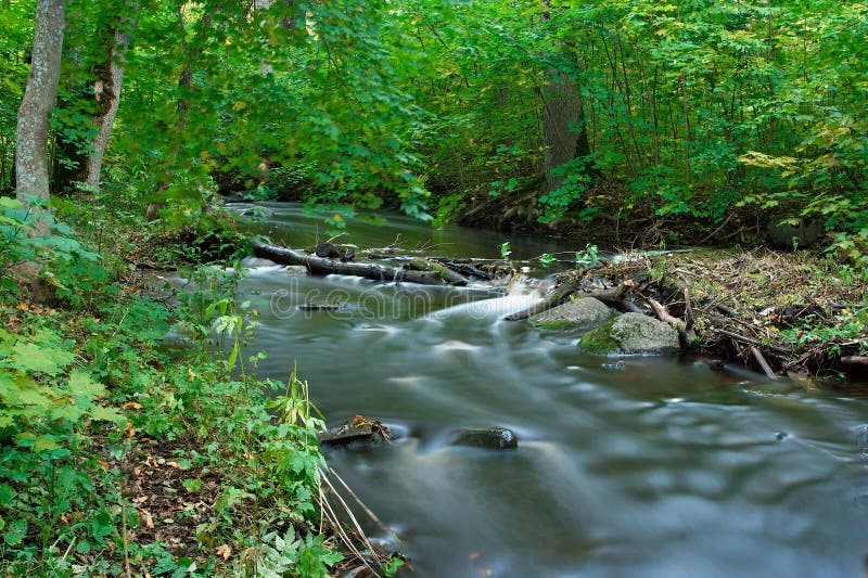 River stock photo. Image of stream, outdoor, season, river - 12249016