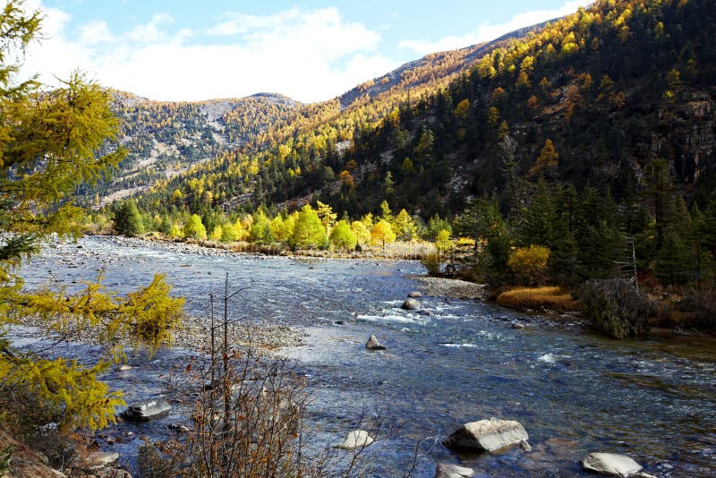 Colorado Fall River Scene stock photo. Image of outdoor - 1859248