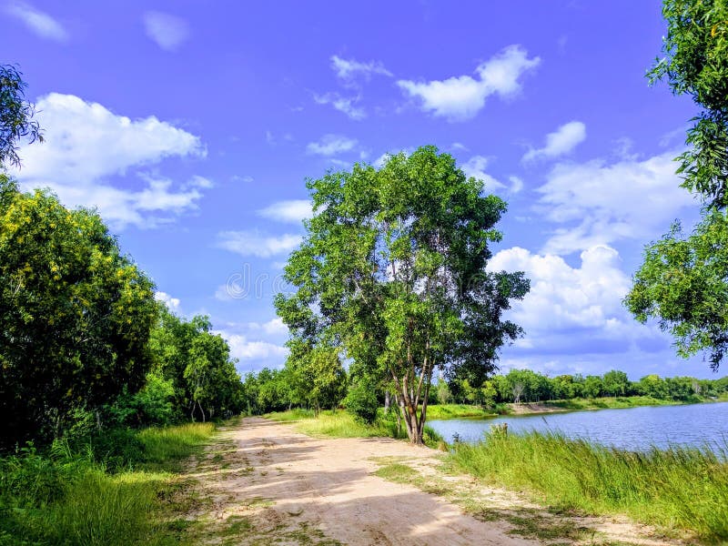 River trees nice nice view stock photo. Image of nice - 214519704