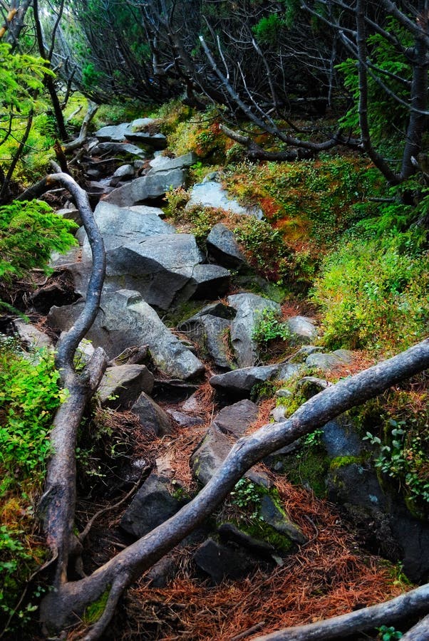 Repid Water Stock Photos - Free & Royalty-Free Stock Photos from Dreamstime