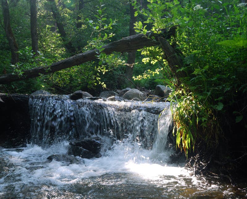 Strange Waterfall on River in Michigan Stock Photo - Image of foliage ...