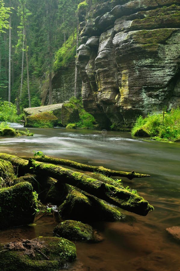 River stock image. Image of cold, nature, creek, morning - 25877125