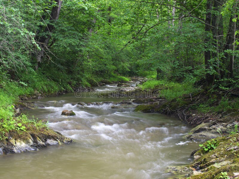 Peaceful river scene stock photo. Image of fresh, scenic - 2970822